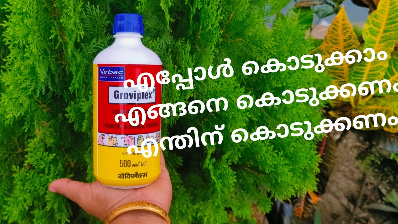 Groviplex uses || Groviplex medicine usage details || അറിയേണ്ടത് എല്ലാം ...