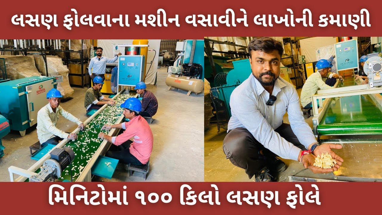 લસણ ફોલવાના મશીનની ફેક્ટરી Rami International garlic peeeling machine ...