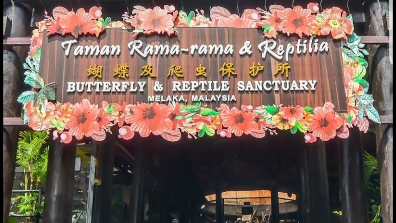 Vacation: Melaka Butterfly & Reptile Sanctuary - YouTube
