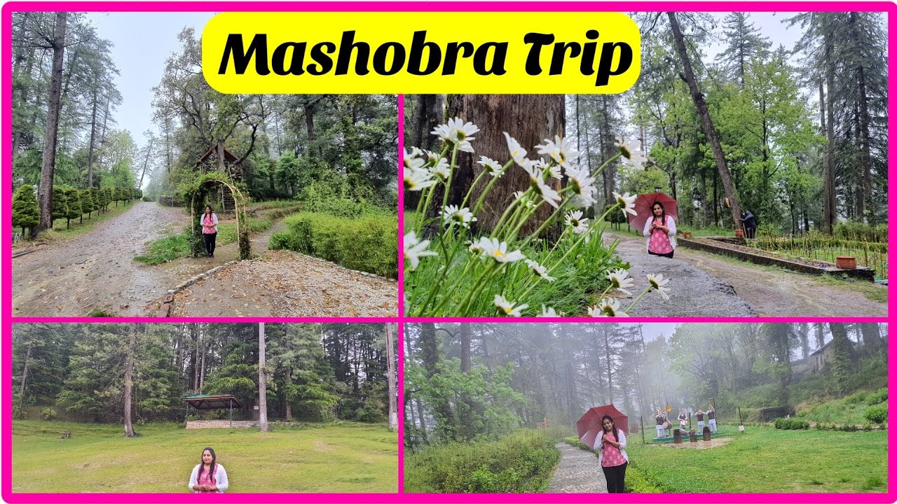 Mashobra Trip |Shimla to Mashobra | Craignano Nature Park | Talai |Best ...