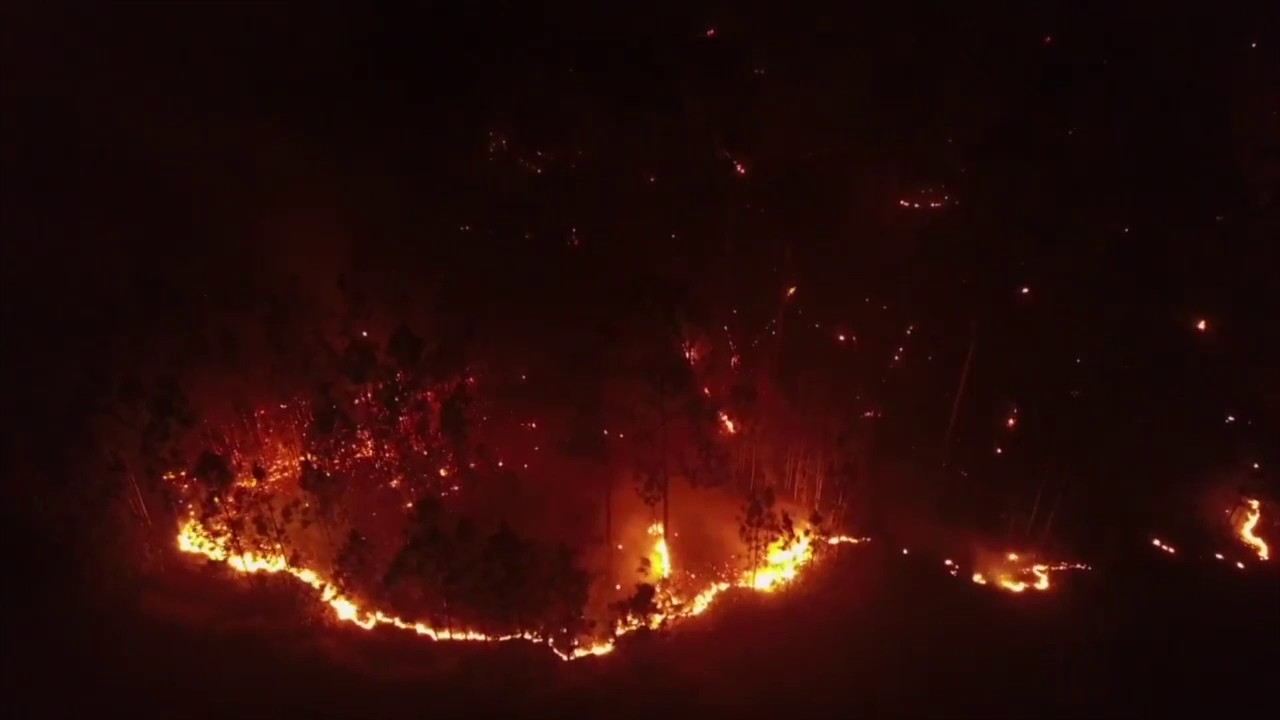 Aerial footage of brush fire in Collier | firefighting - YouTube
