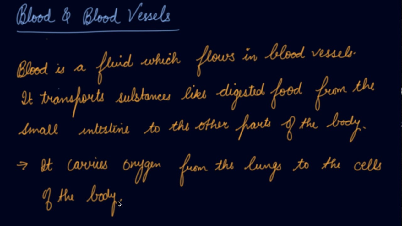 Blood | Class 7 Biology Transportation in Animals and Plants - YouTube