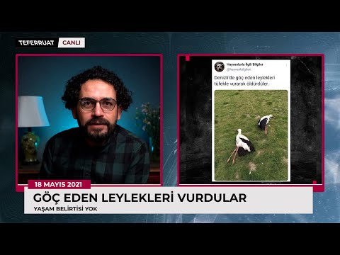 Türkiye'de Durumlar Nasıl? (Özet)