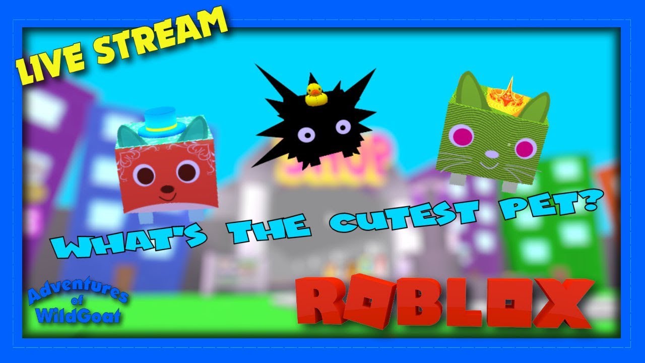 Roblox Live stream - Pet Sim and More!!! - YouTube