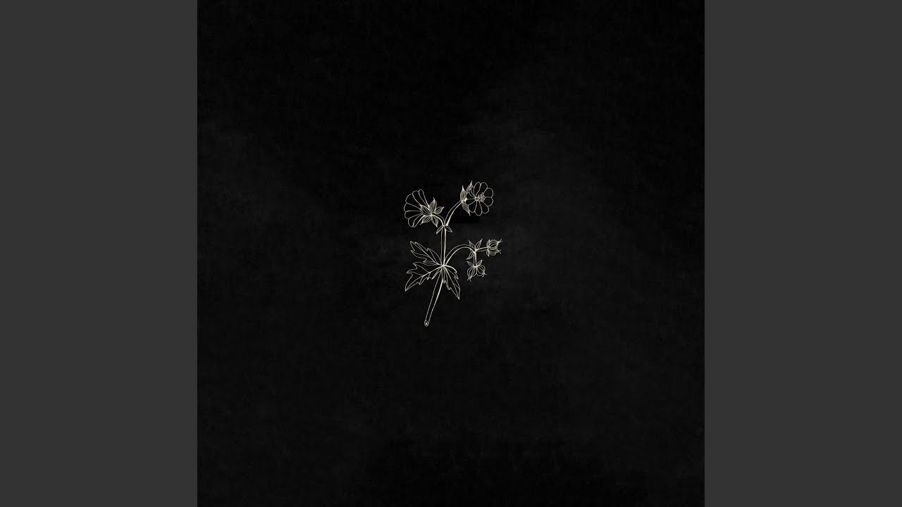 The day she left (Immersive Live Session) - YouTube