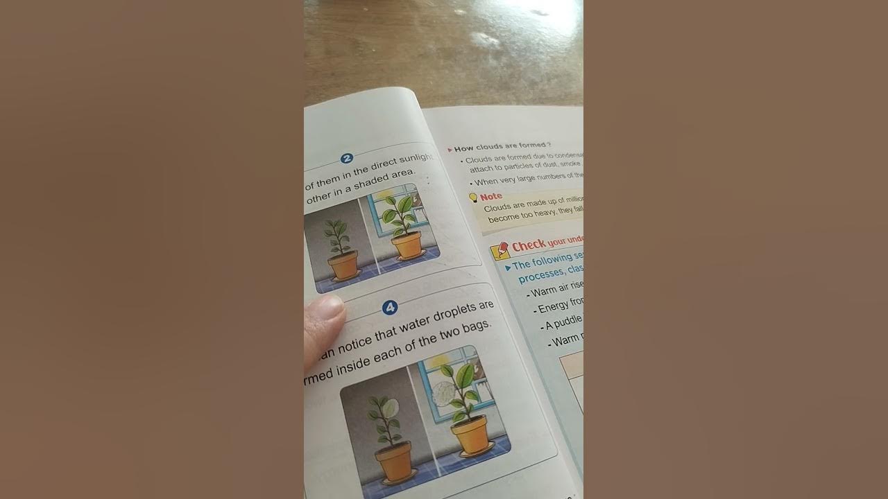 Science G6 (unit 3) concept 1 part 2 - YouTube