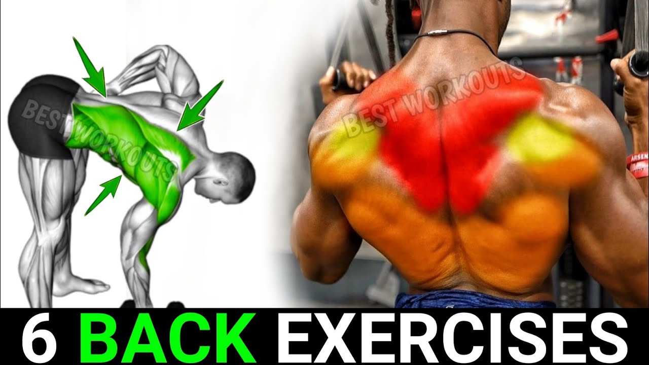 6 Effective Exercises For Thicker Back 🔥 - YouTube