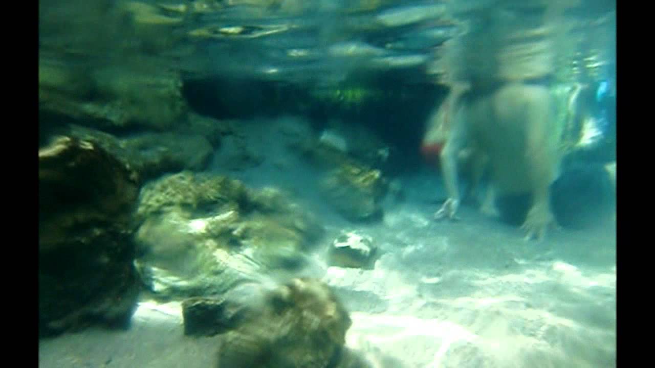 Acoustic alchemy - tete a tete (432 hz) LOS MANANTIALES MORELOS - YouTube