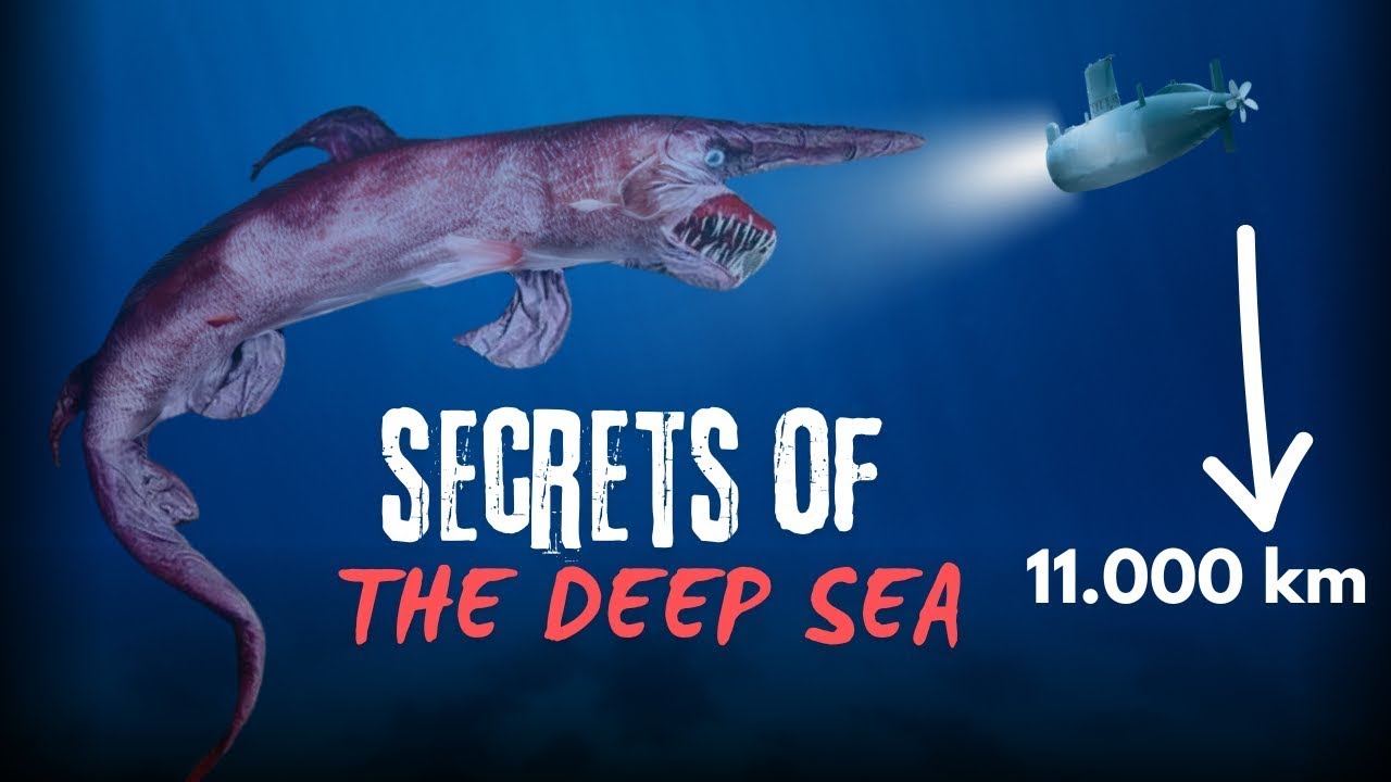 10 SECRETS OF THE DEEP SEA WHAT LIES HIDDEN IN THE LONELIEST PLACE ON ...