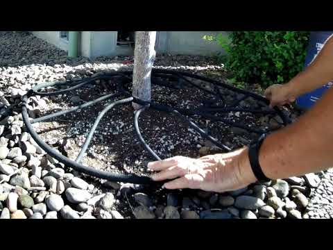 A Tree Watering Ring - YouTube