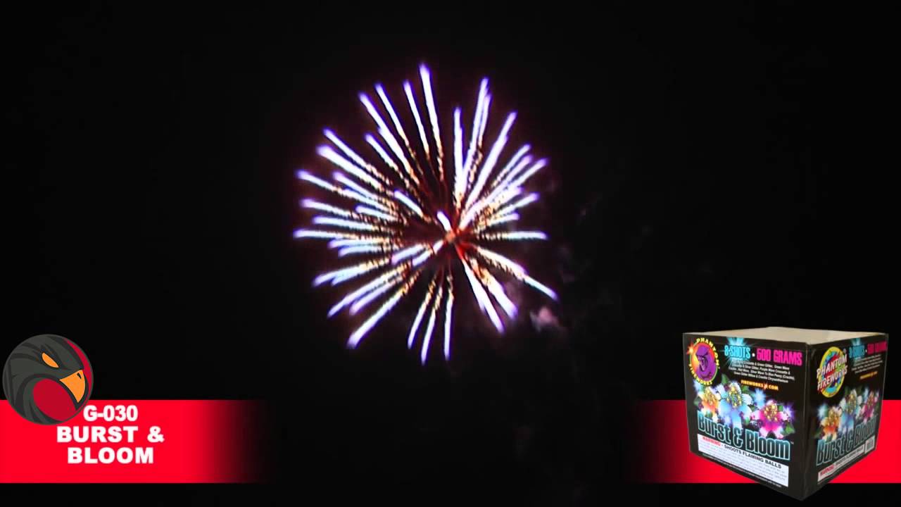 Burst & Bloom - YouTube