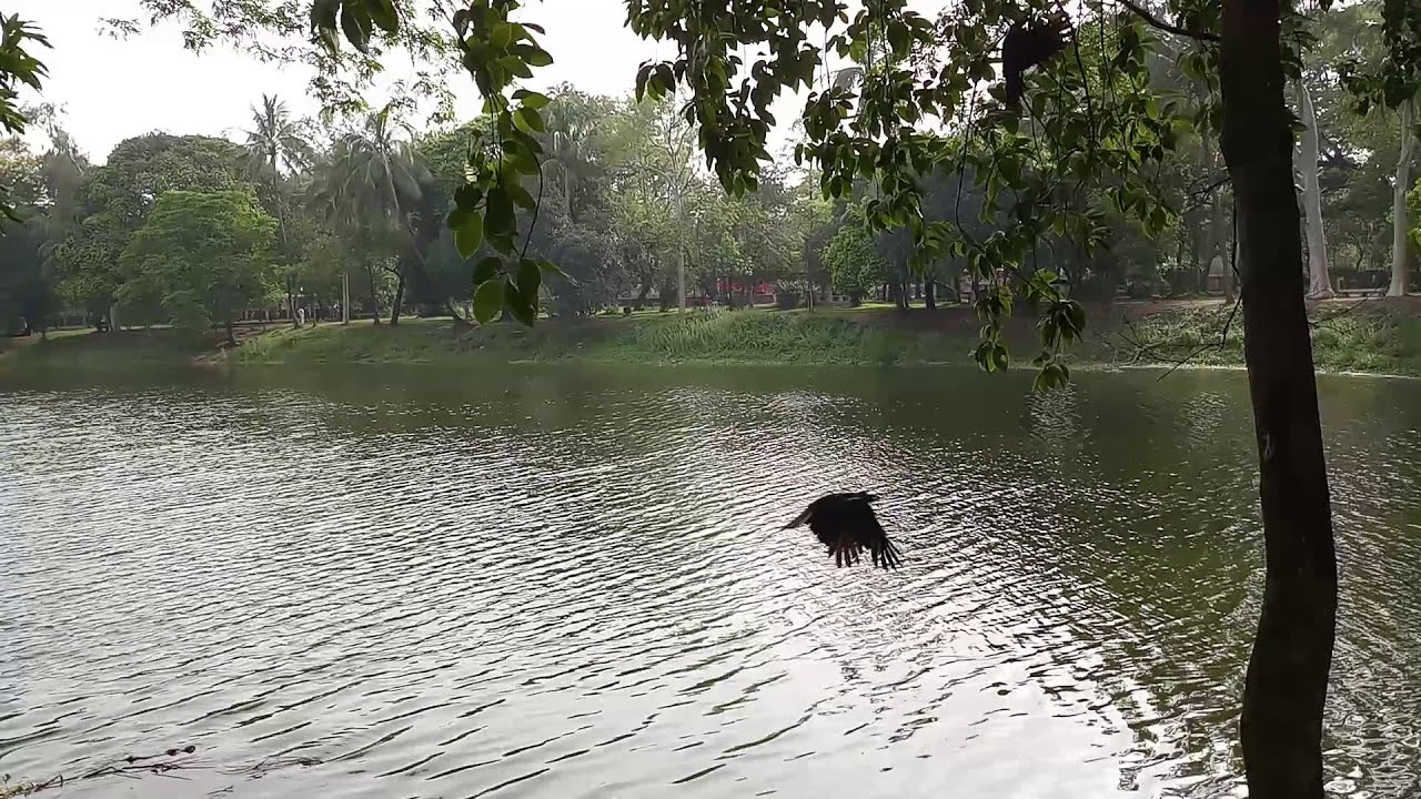 Ramna park lake part 02 - YouTube