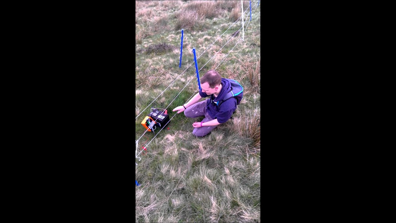 Electric fence shock. Part 1 - YouTube