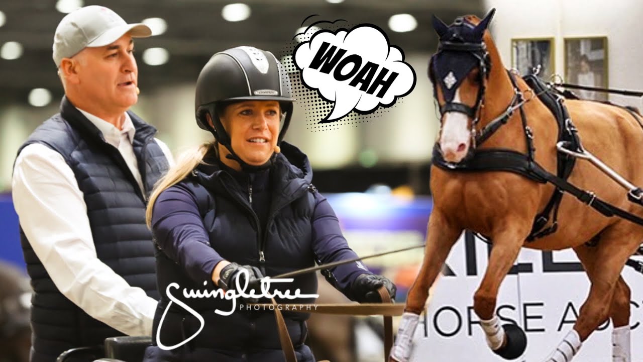 LEARNING TO DRIVE HORSES at LONDON HORSE SHOW - YouTube