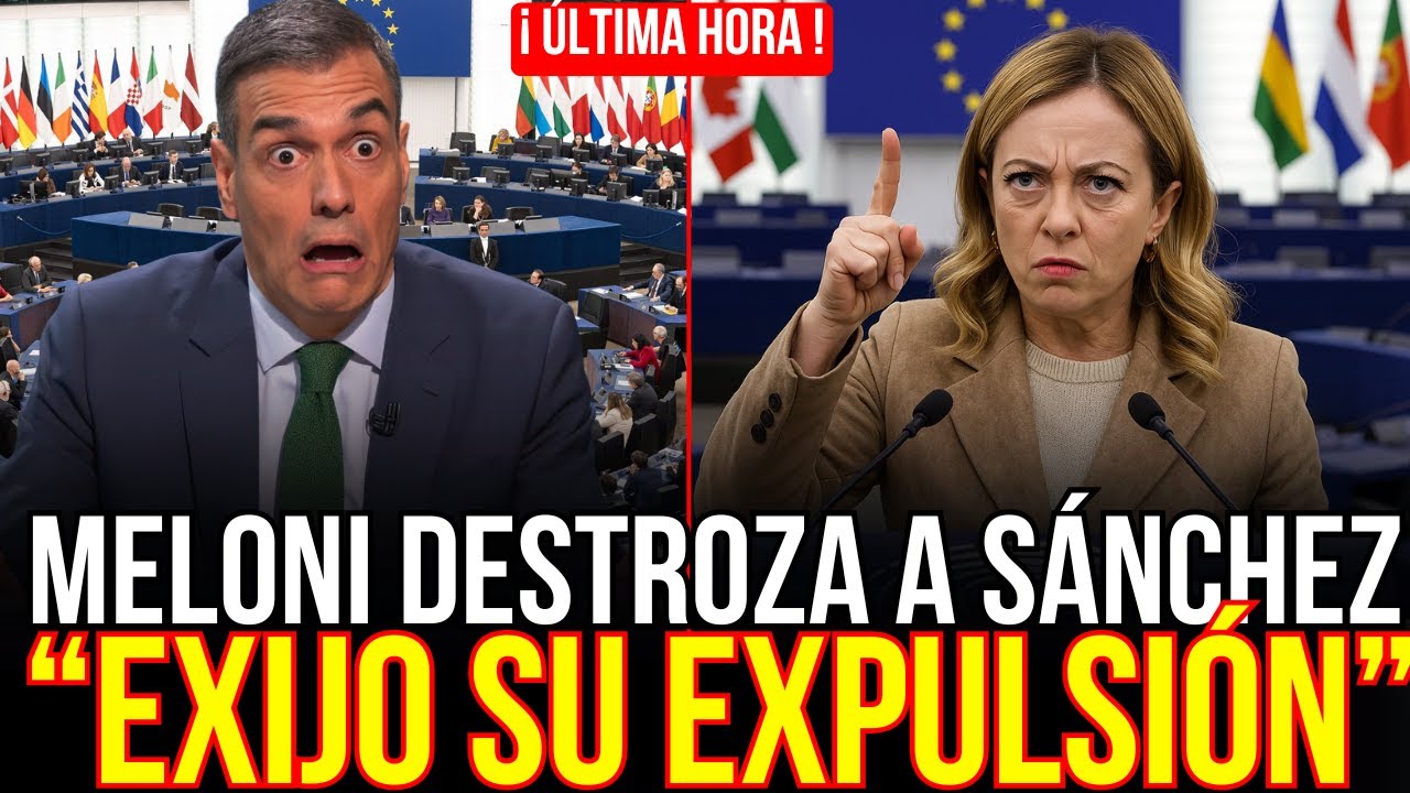 GEORGIA MELONI VUELVE AL PARLAMENTO Y EXIGE LA EXPULSIÓN INMEDIATA DE ...