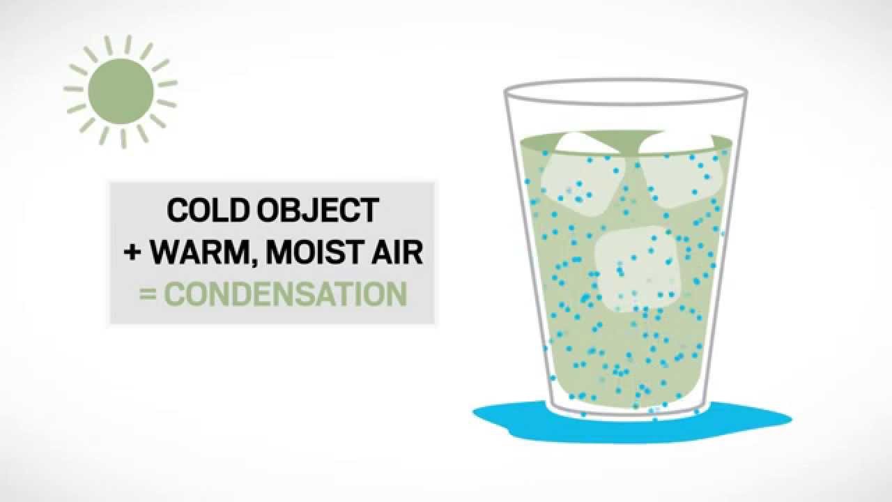 Understanding Condensation on Windows | Renewal by Andersen - YouTube