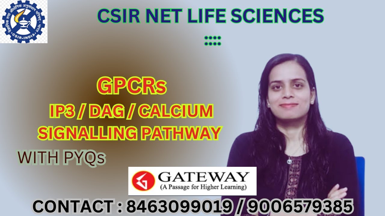IP3 DAG PATHWAY | INOSITOL PHOSPHOLIPID SIGNALLING PATHWAY| CSIR NET ...