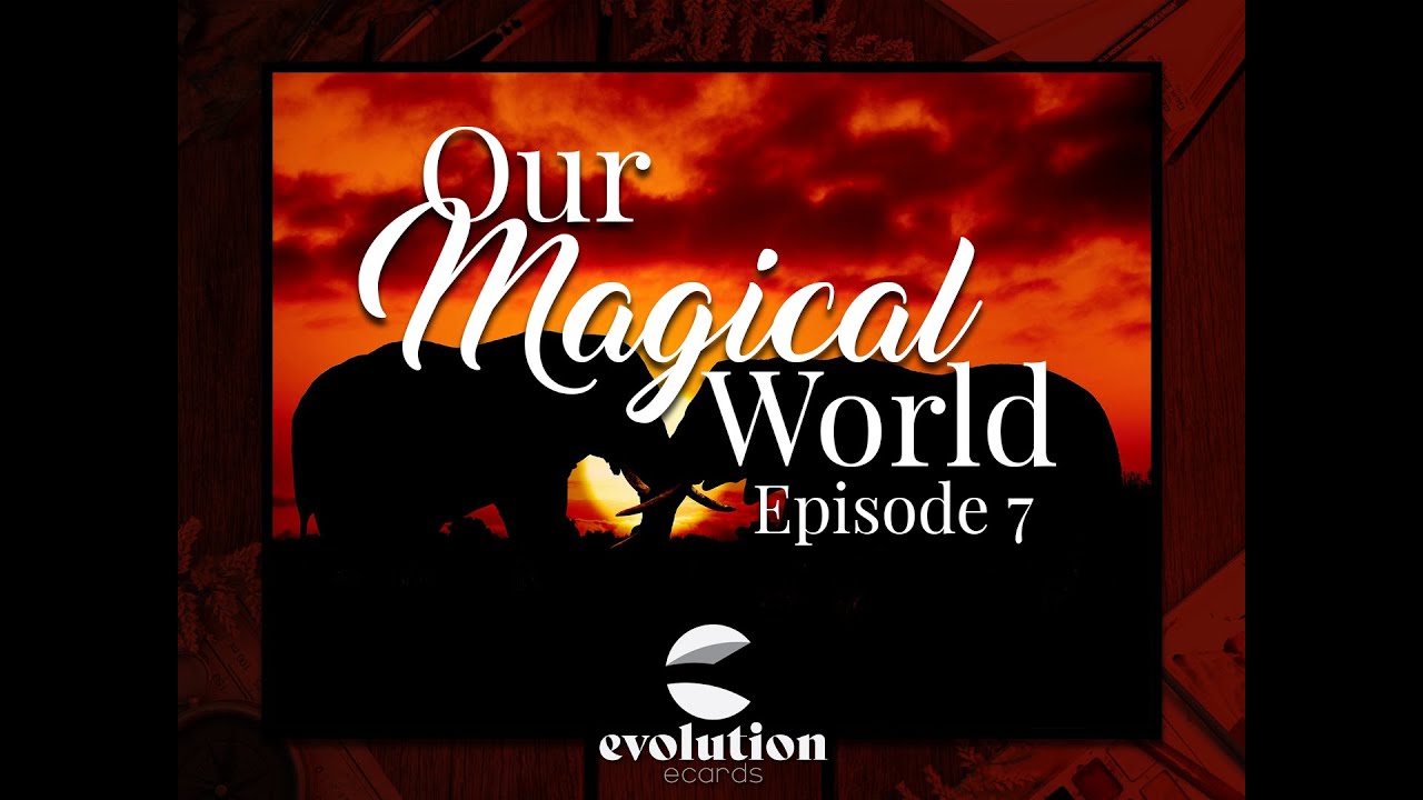 Our Magical World of Wildlife: Episode 7 - YouTube