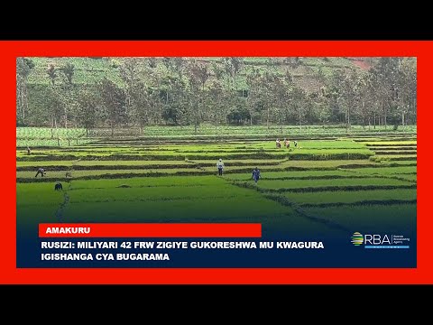 Rusizi: Miliyari 42 Frw zigiye gukoreshwa mu kwagura igishanga cya Bugarama