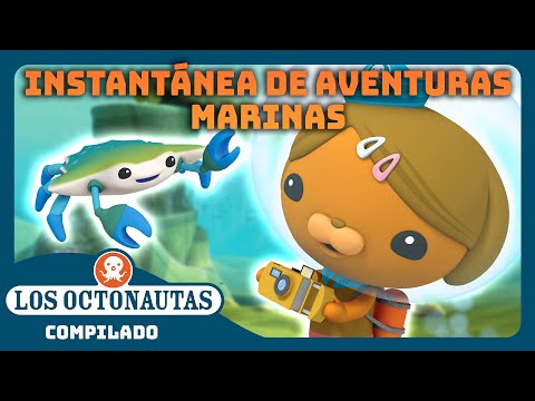 Los Octonautas - 🐶 Instantánea de Dashi de sus aventuras marinas 📸 | Episodios Completos | Compilado