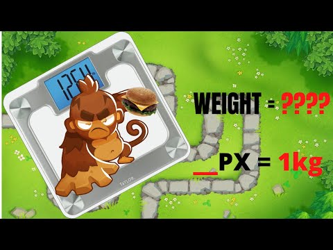 How Much Does The Average Monkey Weigh