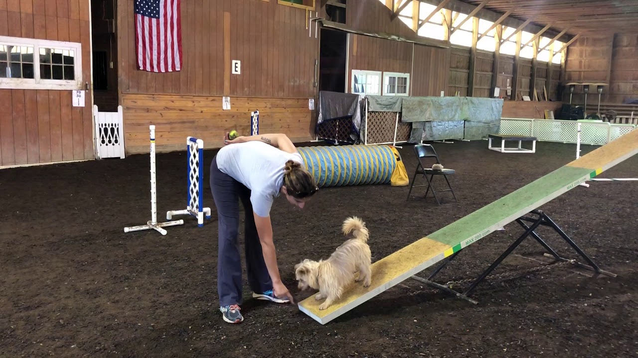 Teeter Transformed Rebound Game - YouTube