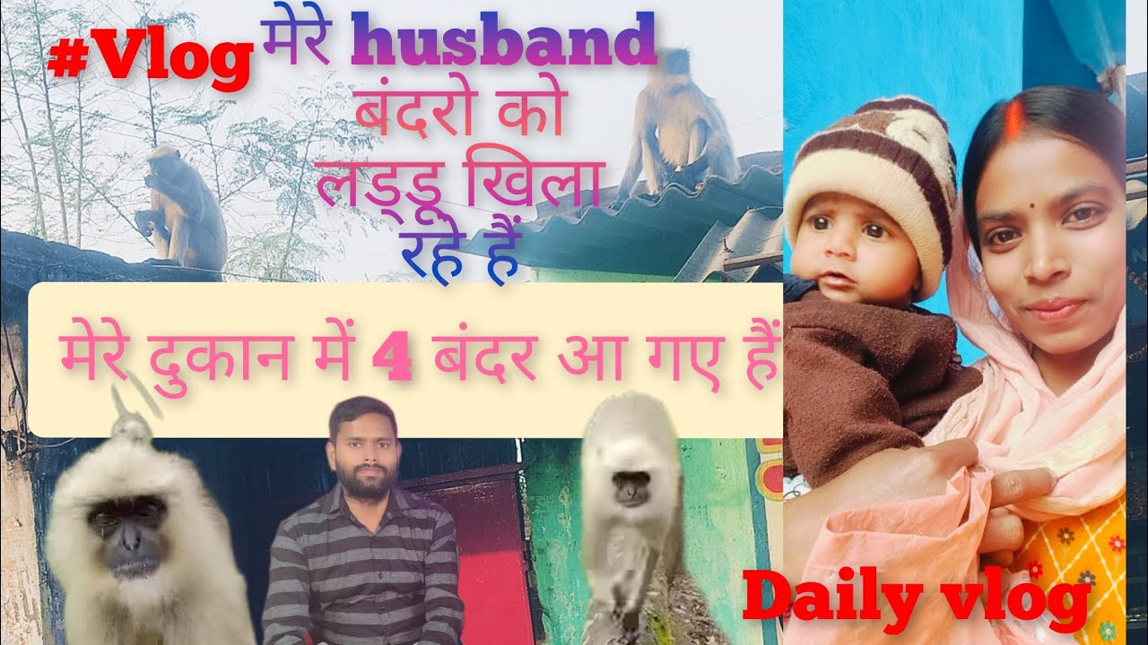 मेरे दुकान में 4 बंदर आ गए || dukan ke upar 4 .4 bandar 🙉🙉|| Rural life || daily vlog || Ruby ...