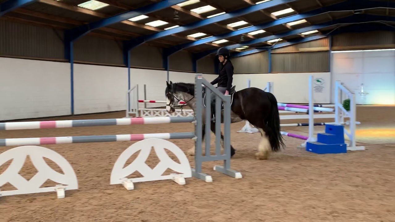 CnG Equine Blue arena voice over - YouTube