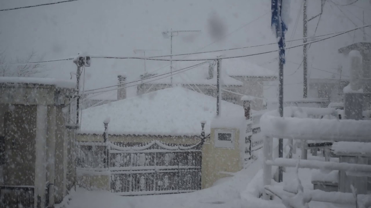 Ξημερωμα 16-1-21 ο χιονιας αρχισε με ορμη στα αρβανιτοτχωρια της ...