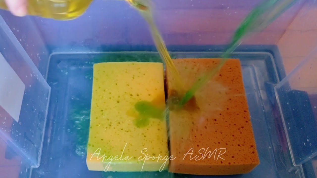ASMR Sponge Appreciation | Special thank you to my followers 🌲🍋 - YouTube