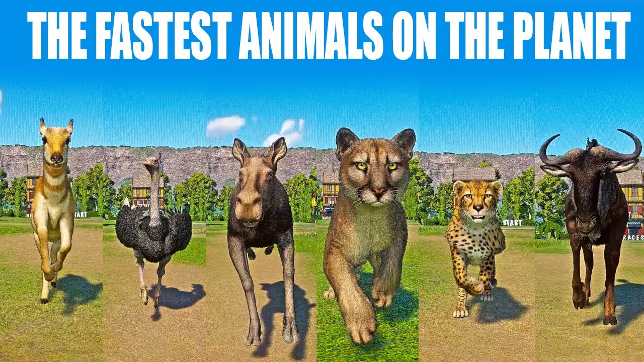 Fastest Animals on the Planet Speed Races in Planet Zoo included ...