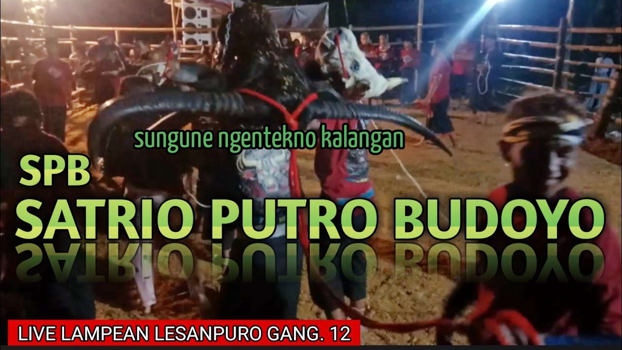 SPB"SATRIO PUTRO BUDOYO" MBEROT SERU ‼️PASUKAN SAT, SET.. LOH IKI - YouTube