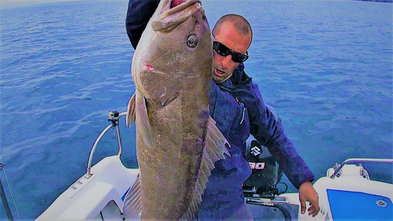 Super Cernia Bianca - Pesca a traina con la seppia viva - YouTube