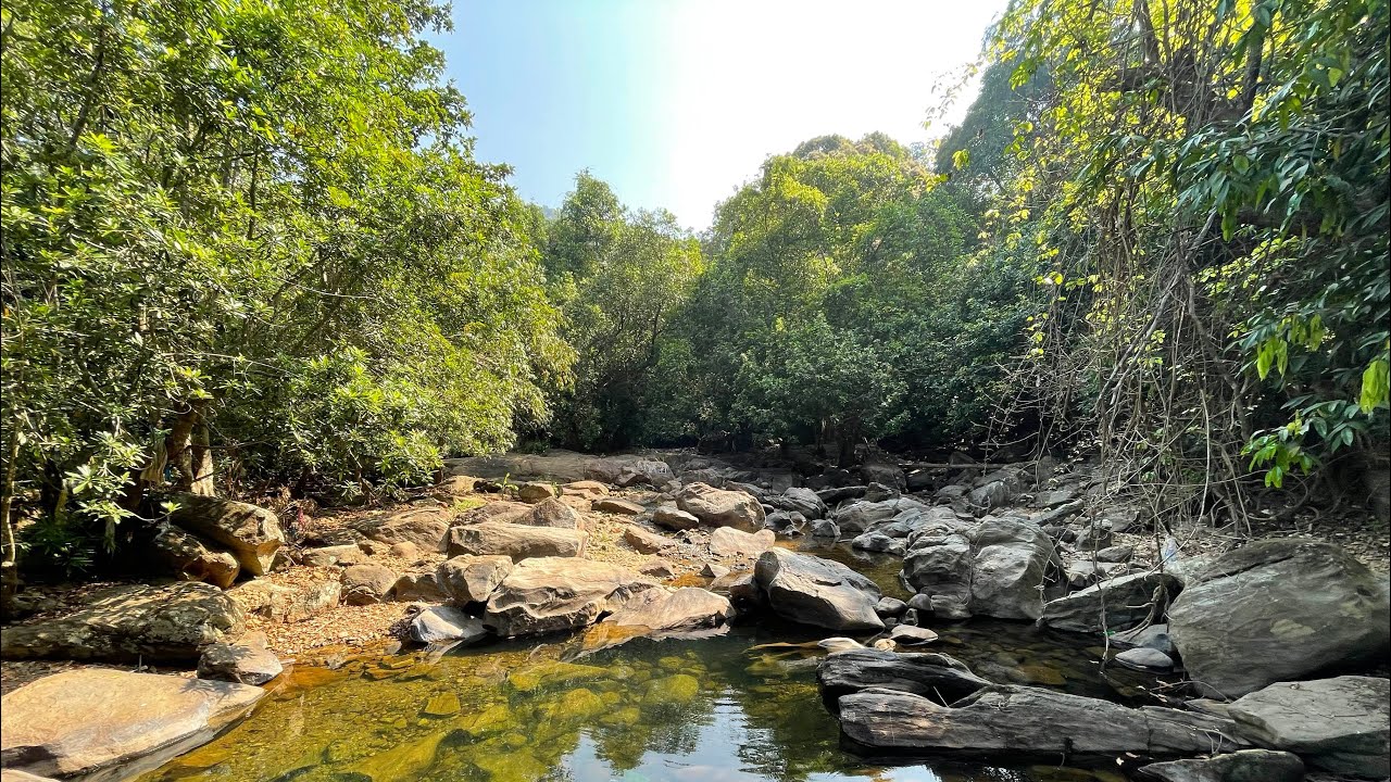 7 Acre River View Rubber Plantation Sale in Kottayam, Poonjar - YouTube