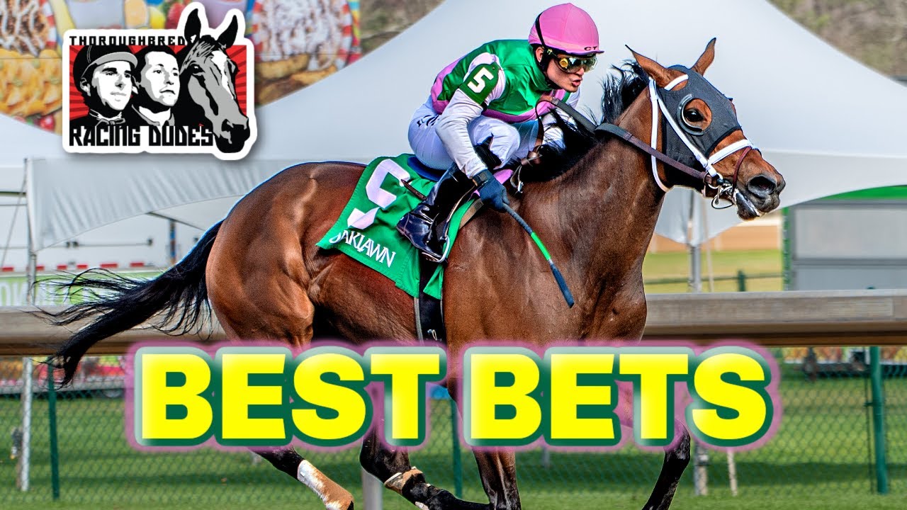 Horse Racing Picks Win Big! | Racing Dudes Best Bets Recap - YouTube