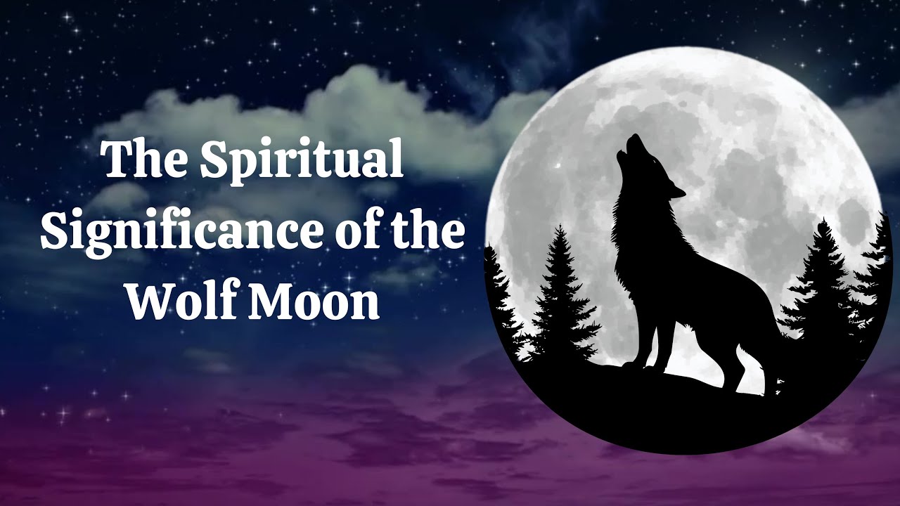 The Spiritual Significance of the Wolf Moon with Tarot spread. - YouTube