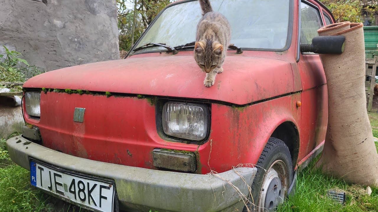 Zmiana koloru na zielony - Fiat 126p / Maluch Town wrost - YouTube