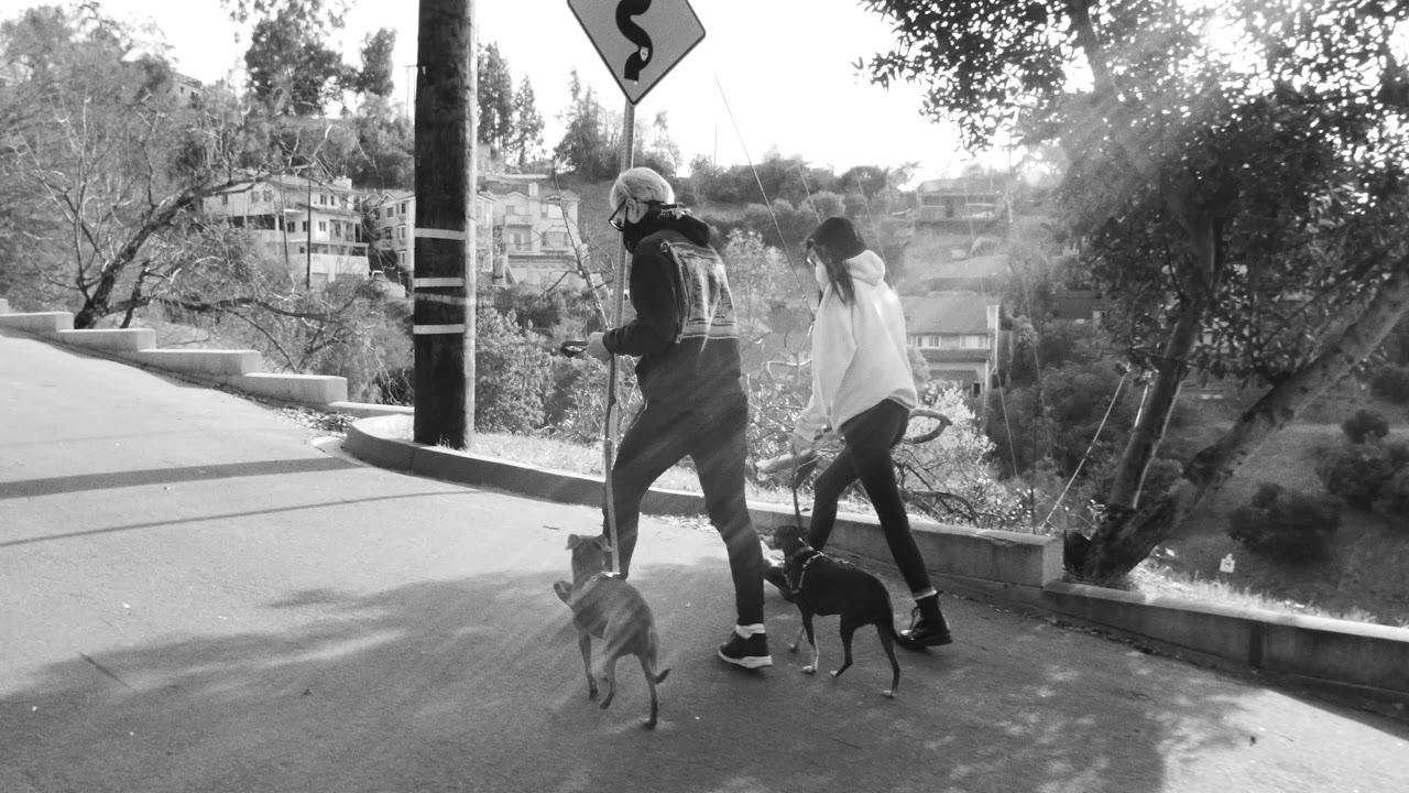 Dead Sky - Joe Cardamone: Song Lyrics, Music Videos & Concerts