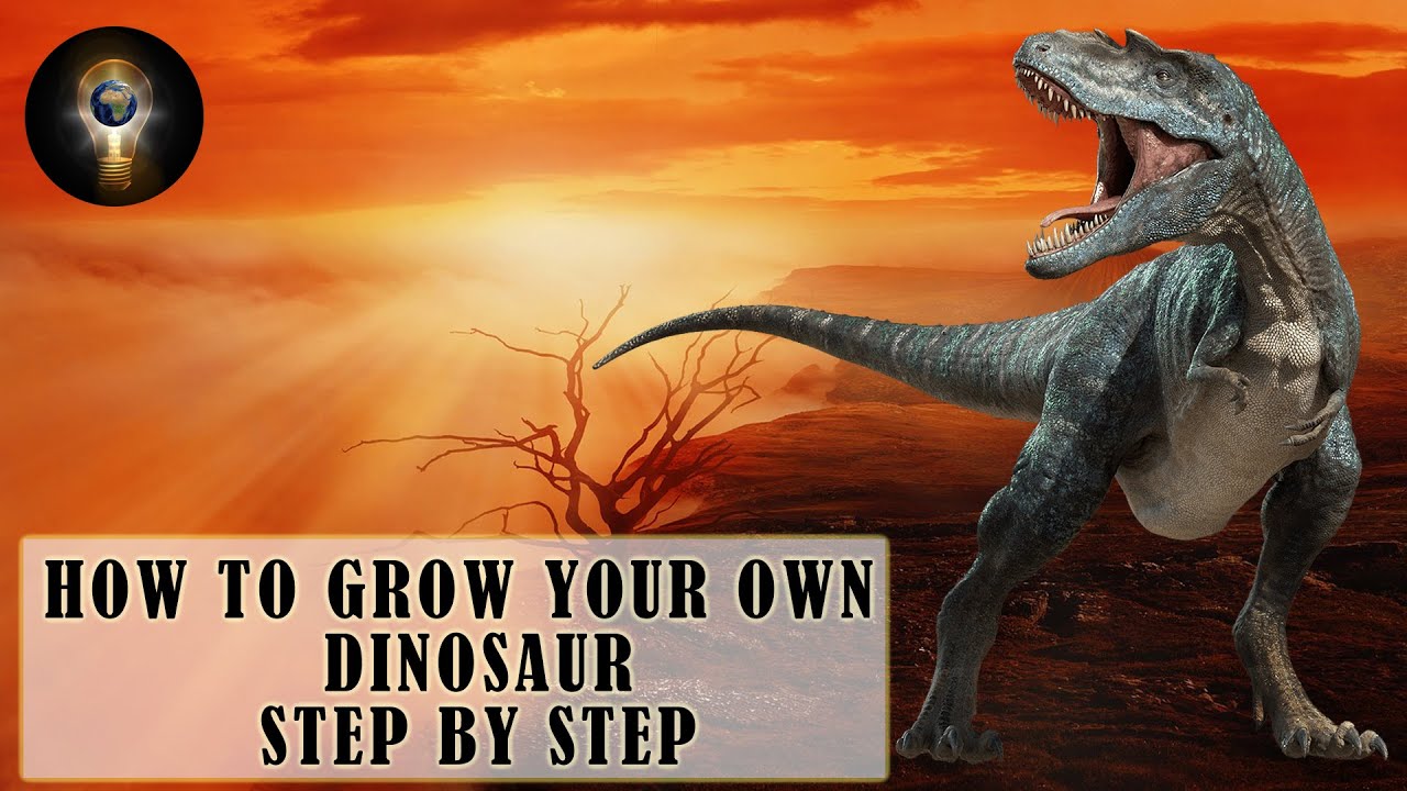 How To Grow Your Own Dinosaur - Step By Step - YouTube