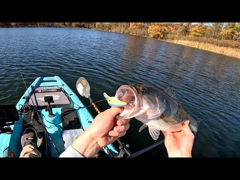 Crankbait and Ned Rig for Fall Bass! Michigan Fall Bass Fishing - YouTube