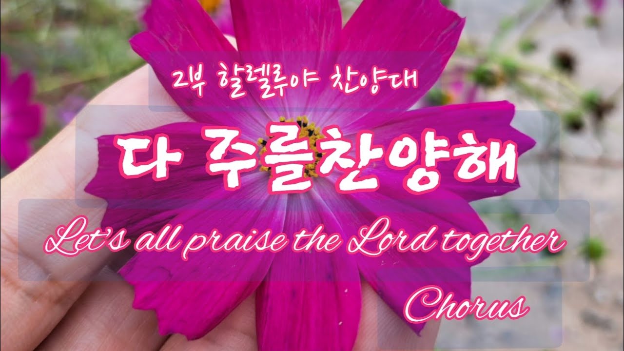 다 주를 찬양해(Let's all praise the Lord together)chorus - YouTube