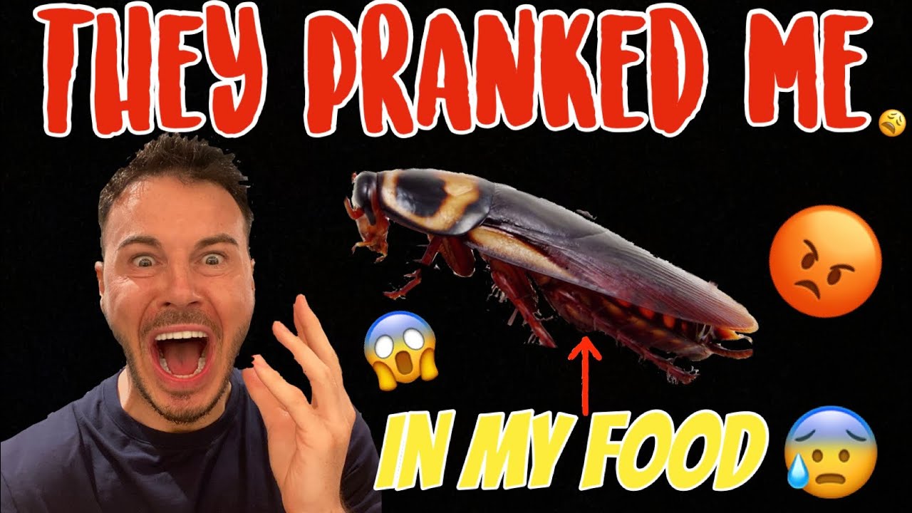 PRANK BATTLE - WAR OF THE WINGROVES 😱😂 EPISODE 1 - YouTube