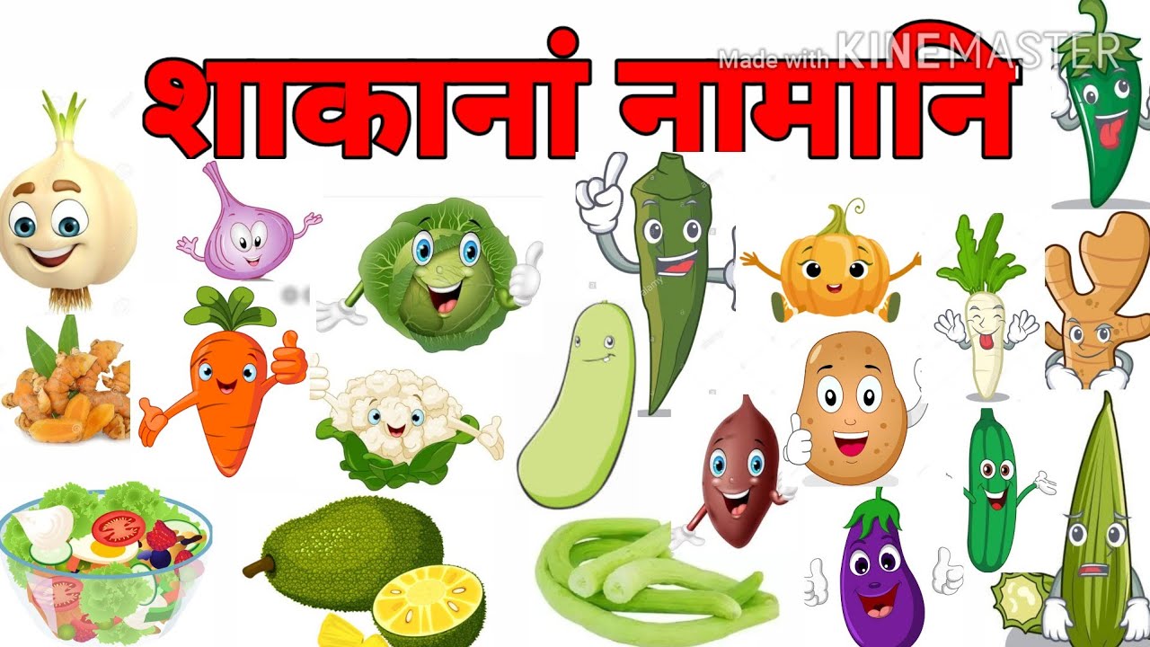21 VEGETABLES NAME IN SANSKRIT 21 21-vegetables-name-in-sanskrit-21