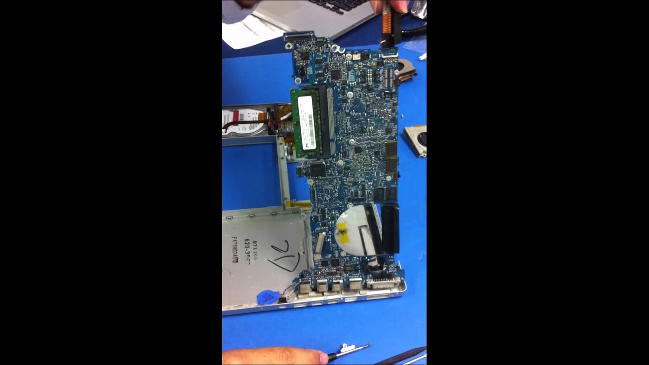 You've heard of computer bugs? Here's the real thing! - YouTube