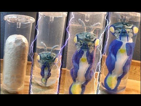 Test Tube Aliens: Tatsuni/ From The Desk Of Studio Ultra #112 - YouTube