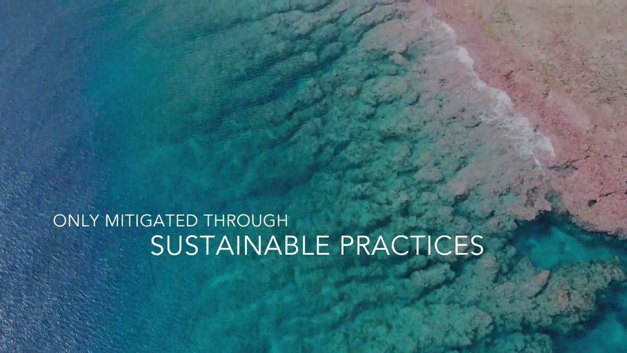 RareFishMarines Coral Fragging Sustainability - YouTube