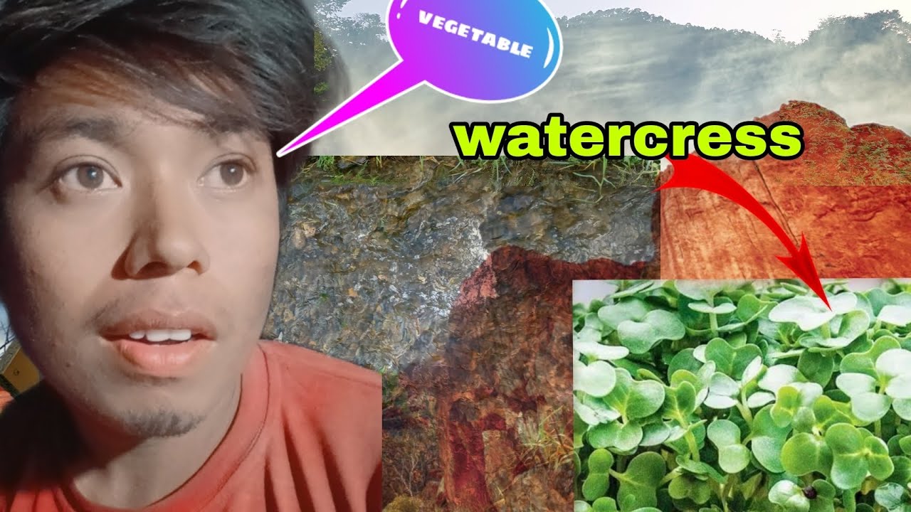 Founding Vegetable Watercress in River 😱😱 - YouTube