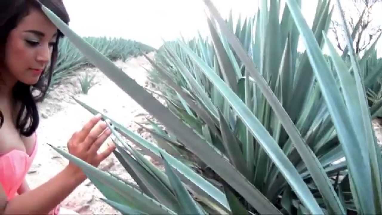 Gabriela Negrete - Churipitzeo - YouTube