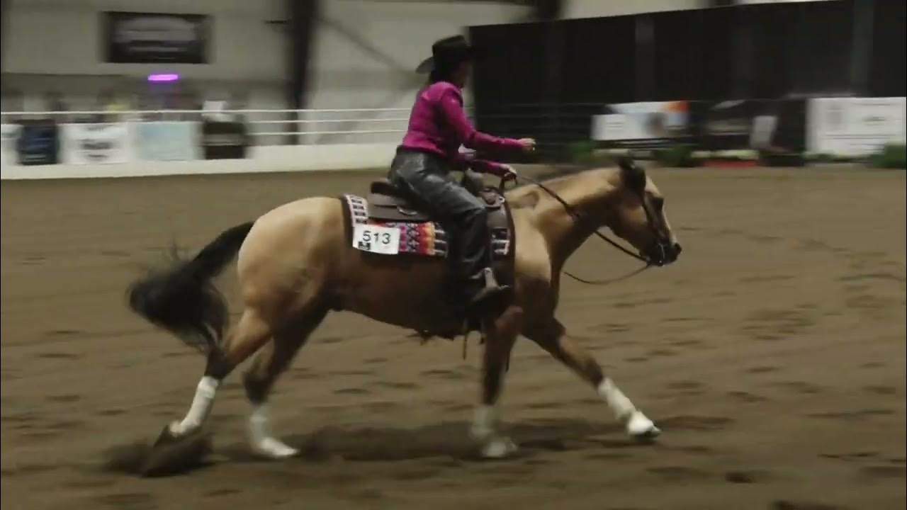 6 2 24 Buckeye Reining Spectacular Rookie Susan Neff on Mighty Mr Wise Guy - YouTube