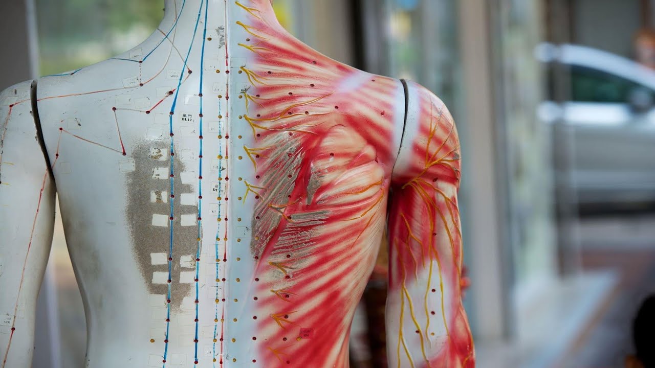 DIAGNOSING VIA ACUPUNCTURE CHANNELS - YouTube